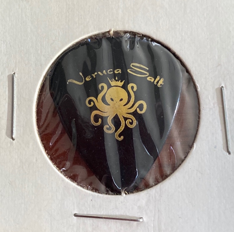 Veruca Salt / Local H / Fig Dish – Summer 1997 – Rob the Concert Guy